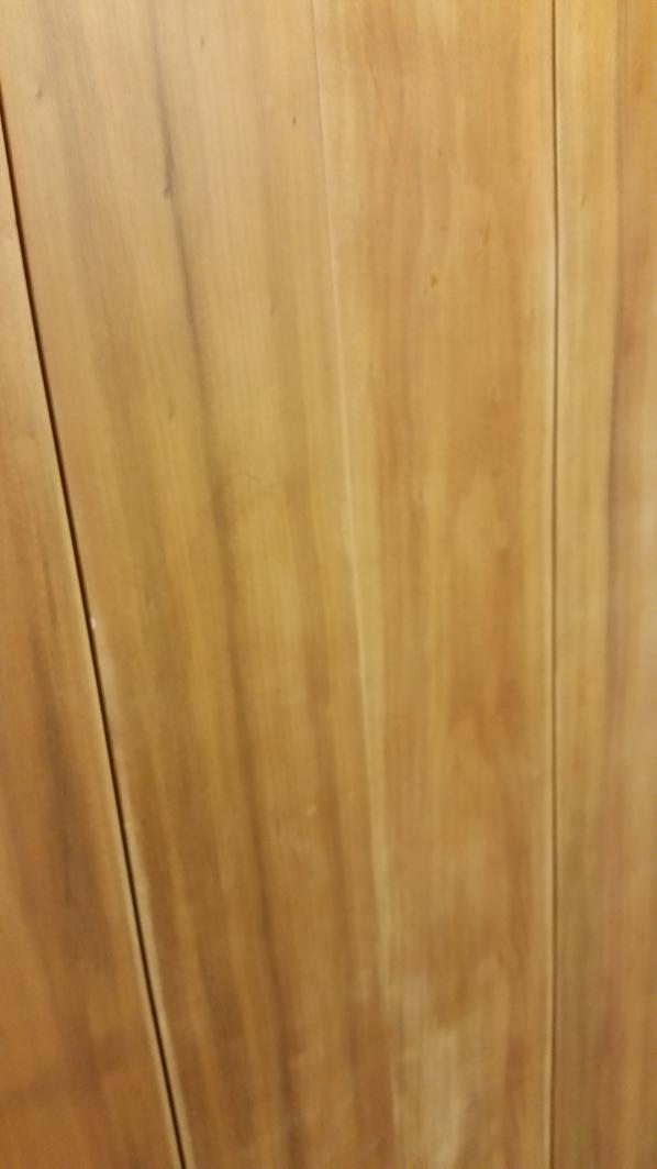 Parana Pine, Why we Keep This Wood by G S Haydon