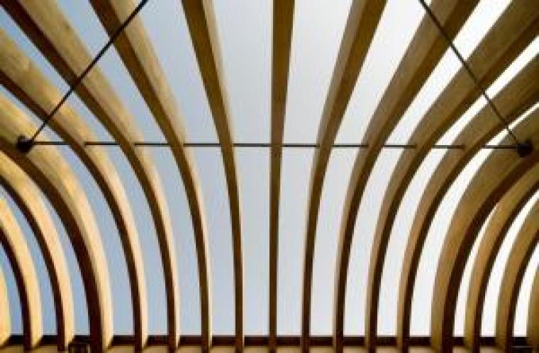 5 Accoya Facts from the Radiata Pine and Use in Joinery